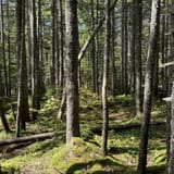 Hancock Notch Trail, New Hampshire - 60 Reviews, Map | AllTrails