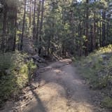 Mars Hill Trail Loop, Arizona - 2,030 Reviews, Map | AllTrails