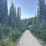 Butler Gulch Trail, Colorado - 3,264 Reviews, Map | AllTrails