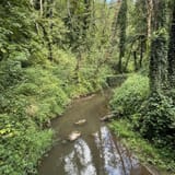 Tryon Creek Triple Bridge Loop, Oregon - 1,840 Reviews, Map | AllTrails