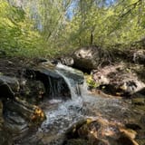 Burch Creek Trail, Utah - 777 Reviews, Map | AllTrails