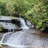 Cat Gap Loop Trail, North Carolina - 731 Reviews, Map | AllTrails