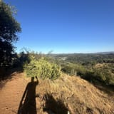 Dragoon Gulch Trail, California - 948 Reviews, Map | AllTrails