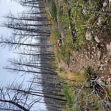 Bridger Ridge Trail, Montana - 181 Reviews, Map | AllTrails