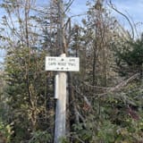 Caps Ridge Trail, New Hampshire - 1,984 Reviews, Map | AllTrails