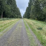 Tolt Pipeline Trail, Washington - 353 Reviews, Map | AllTrails