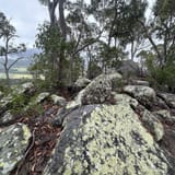 Walshs Pyramid, Queensland, Australia - 632 Reviews, Map | AllTrails