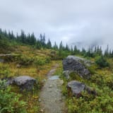 Monogram Lake Trail, Washington - 101 Reviews, Map | AllTrails