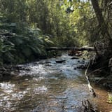 Masons Falls and Mount Sugarloaf Circuit, Victoria, Australia - 1,050 ...