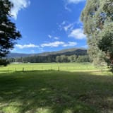 Taggerty River Lookout Loop, Victoria, Australia - 61 Reviews, Map ...