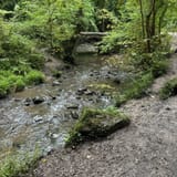 Wepre Park Circular, Flintshire, Wales - 493 Reviews, Map | AllTrails