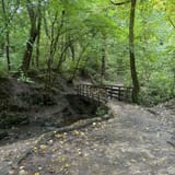 Wepre Park Circular, Flintshire, Wales - 493 Reviews, Map | AllTrails