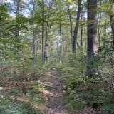 Pequot Woods, Connecticut - 308 Reviews, Map | AllTrails