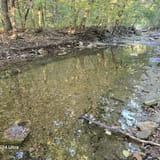 Roark Creek Waterfall Trail, Missouri - 1,141 Reviews, Map | AllTrails