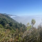 Tanbark Trail and Tin House Loop, California - 1,411 Reviews, Map ...