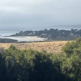 Tanbark Trail and Tin House Loop, California - 1,411 Reviews, Map ...