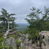 Pinnacle Trail to Kings Pinnacle, North Carolina - 3,131 Reviews, Map ...