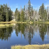 Ruth Lake Trail, Utah - 487 Reviews, Map | AllTrails