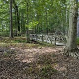 Cash Lake Loop Trail, Maryland - 1,144 Reviews, Map | AllTrails