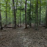 Cash Lake Loop Trail, Maryland - 1,144 Reviews, Map | AllTrails