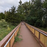 Cash Lake Loop Trail, Maryland - 1,144 Reviews, Map | AllTrails