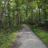 Cash Lake Loop Trail, Maryland - 1,144 Reviews, Map | AllTrails