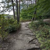 Cash Lake Loop Trail, Maryland - 1,144 Reviews, Map | AllTrails