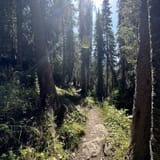 Timber Lake Trail, Colorado - 711 Reviews, Map | AllTrails