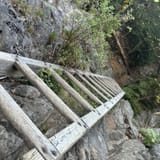 Crane Mountain Loop Hike, New York - 1,493 Reviews, Map | AllTrails