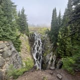 Myrtle Falls Viewpoint via Skyline Trail, Washington - 4,964 Reviews ...