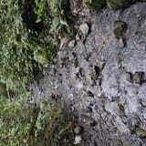 Japanese Gulch Loop Trail, Washington - 1,264 Reviews, Map | AllTrails