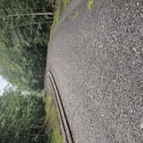 Japanese Gulch Loop Trail, Washington - 1,257 Reviews, Map | AllTrails
