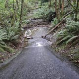 Japanese Gulch Loop Trail, Washington - 1,264 Reviews, Map | AllTrails