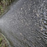 Japanese Gulch Loop Trail, Washington - 1,254 Reviews, Map | AllTrails