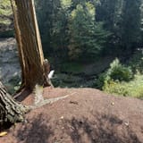 Sprague Brook Park Trail, New York - 1,461 Reviews, Map | AllTrails