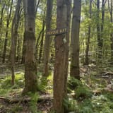 Sprague Brook Park Trail, New York - 1,461 Reviews, Map | AllTrails