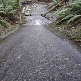 Japanese Gulch Loop Trail, Washington - 1,254 Reviews, Map | AllTrails
