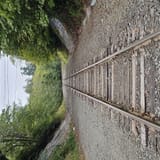 Japanese Gulch Loop Trail, Washington - 1,254 Reviews, Map | AllTrails