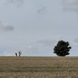 Meon Valley via Railway Line, Hampshire, England - 41 Reviews, Map ...