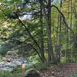 Old Mill Trail, Massachusetts - 312 Reviews, Map | AllTrails