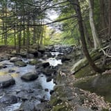 Old Mill Trail, Massachusetts - 312 Reviews, Map | AllTrails