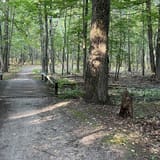 Tobico Marsh Trail, Michigan - 648 Reviews, Map | AllTrails