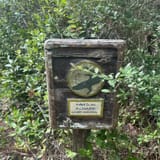 Nocatee Preserve Trail, Florida - 364 Reviews, Map | AllTrails