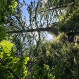 Mount June Trail, Oregon - 238 Reviews, Map | AllTrails