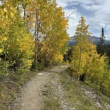 Spruce Creek Loop, Colorado - 1,975 Reviews, Map | AllTrails