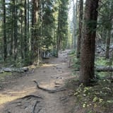 Spruce Creek Loop, Colorado - 1,975 Reviews, Map | AllTrails