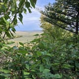 Berry Hill Trail, Newfoundland and Labrador, Canada - 134 Reviews, Map ...