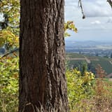 Trappist Abbey Guadalupe Loop, Oregon - 1,462 Reviews, Map | AllTrails