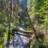 Star Creek Falls Loop, Alberta, Canada - 761 Reviews, Map | AllTrails