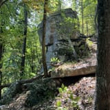 Tinker Cliffs via Andy Layne Trail, Virginia - 1,892 Reviews, Map ...